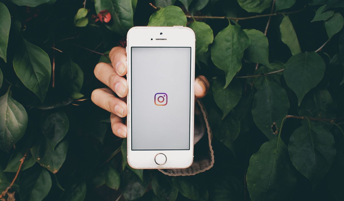 How To View Your Instagram Followers In Order - Sorta Techy